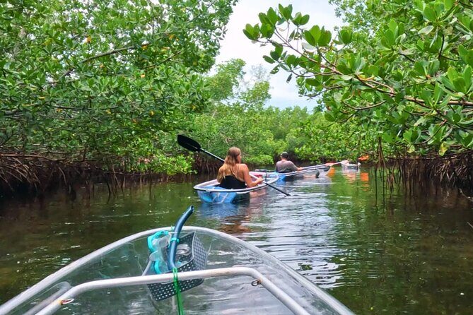 Sarasota Waterways Tour for All Ages - What to Expect from the Sarasota Waterways Tour