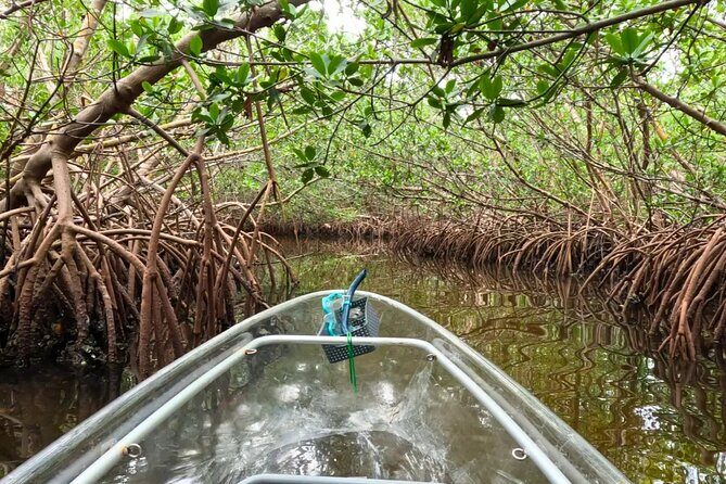 Sarasota Waterways Tour for All Ages - FAQ