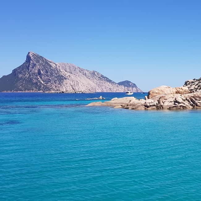 Sardegna, north west, discovering land and sea - Who Will Appreciate This Tour?