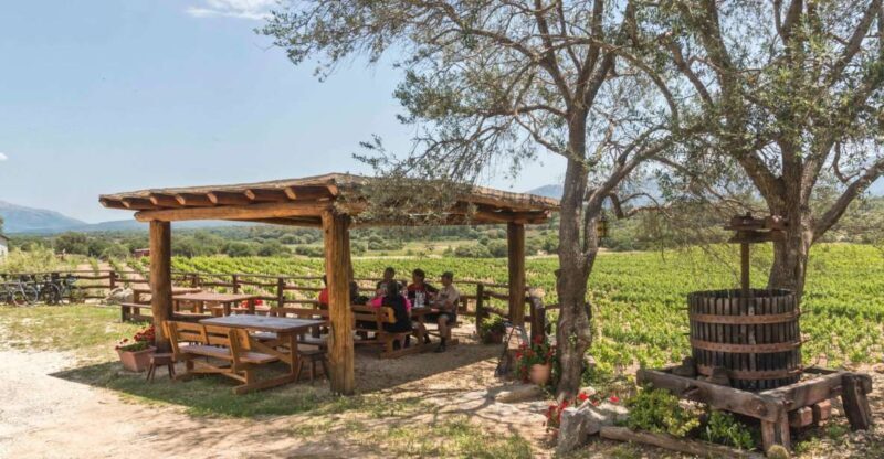 Sardinia: Dorgali Winery Tour with Tasting and Local Guide - Tasting the Heart of Sardinia