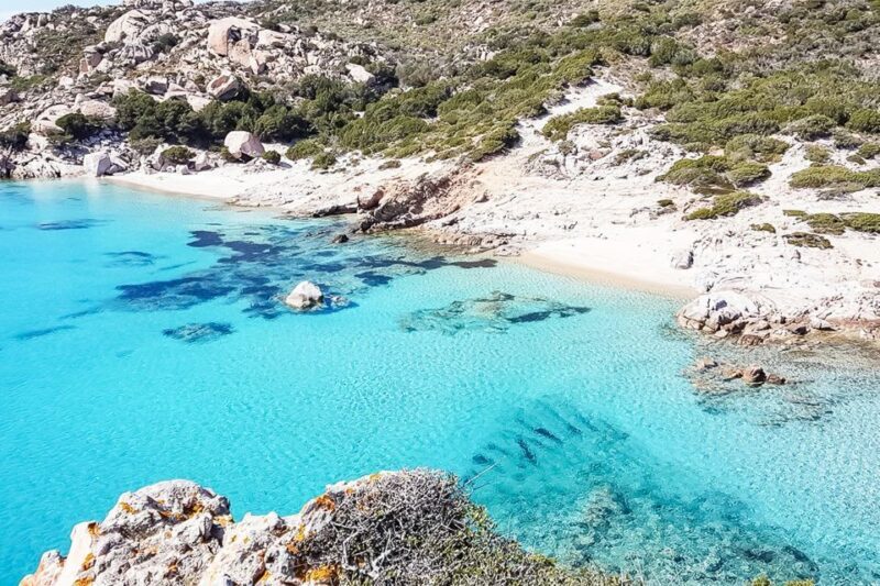 Sardinia: La Maddalena Archipelago Full-Day Trip by Boat - Key Points