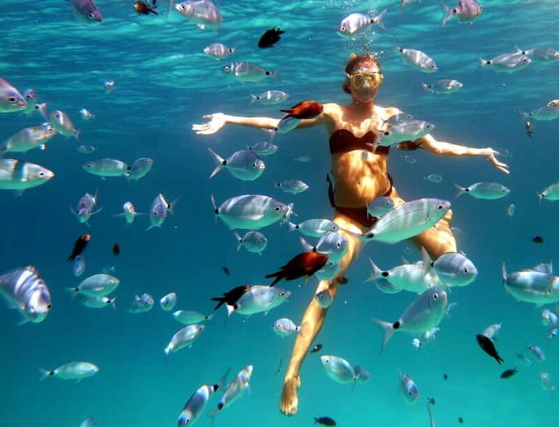 Sardinia: Morning Kayak Tour with Snorkeling - Authentic Reviews and Highlights