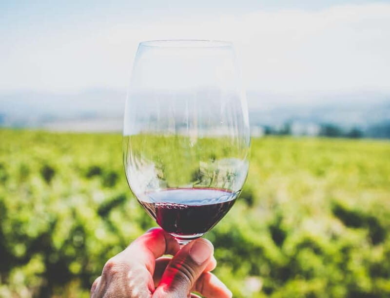 Sardinia: Wine Tasting and Nuragic Village Tour in Alghero - Key Points