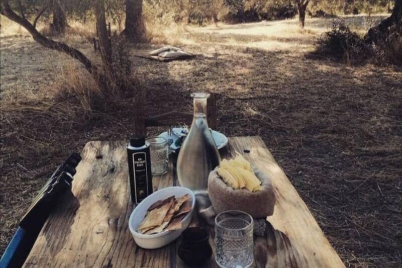 Sardinian Olive Oil tasting & Picnic among the olive trees - Authenticity and Cultural Value