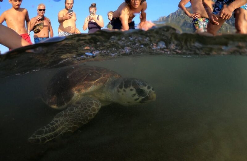 Sarigerme: Dalyan, Turtle Beach, Mud Bath, & King Tombs Tour - What’s the Value?