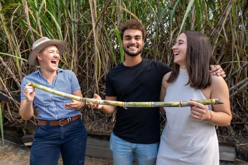 Sarina: Guided Tour of the Sarina Sugar Shed with Tasting - Practical Tips for Visitors