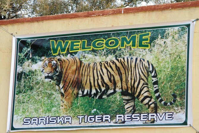 Sariska Tiger Reserve Safari Tickets (Skip The Line) - What Makes a Sariska Safari Special