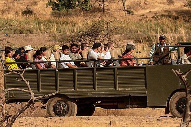 Sariska Tiger Reserve Safari Tickets (Skip The Line) - The Value of the Pricing