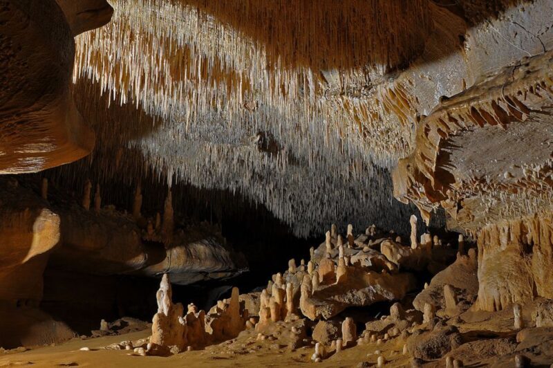 Sarlat : Private Tour to an Original Prehistoric Cave - Who Will Love This Tour?