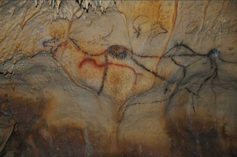 Sarlat : Private Tour to an Original Prehistoric Cave - Final Thoughts