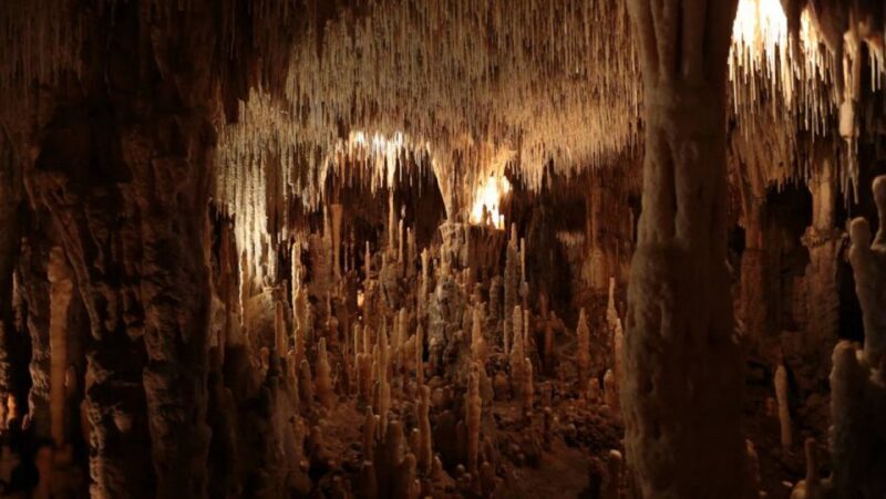 Sarlat : Private tour to Prehistoric Cave + Medieval Castle - Practical Details and Value