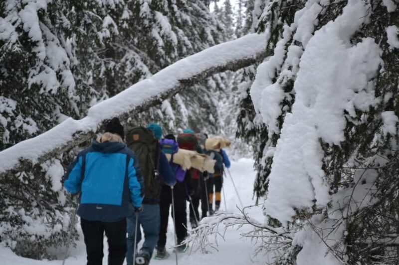 Särna: Fulufjället National Park Guided Hike with Lunch - Key Points