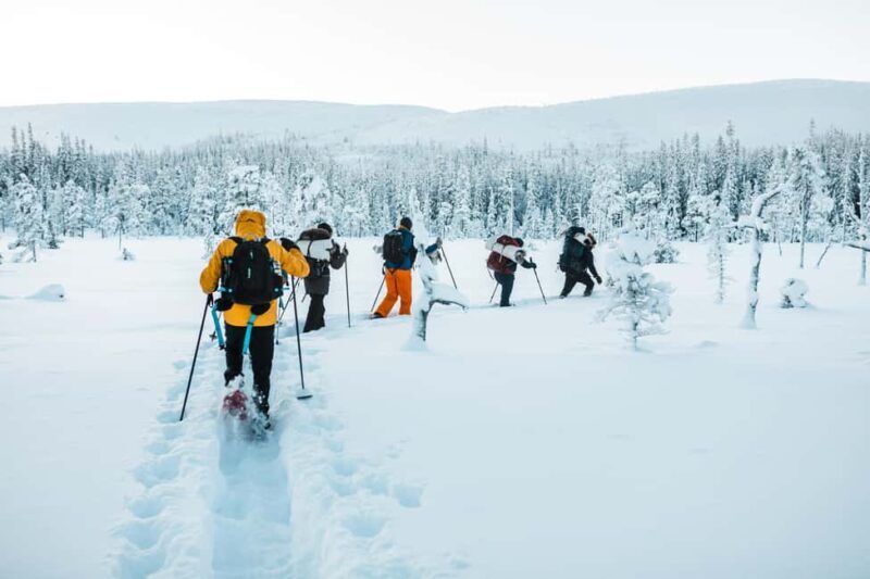 Särna: Fulufjället National Park Guided Hike with Lunch - An Authentic Swedish Outing: What to Expect