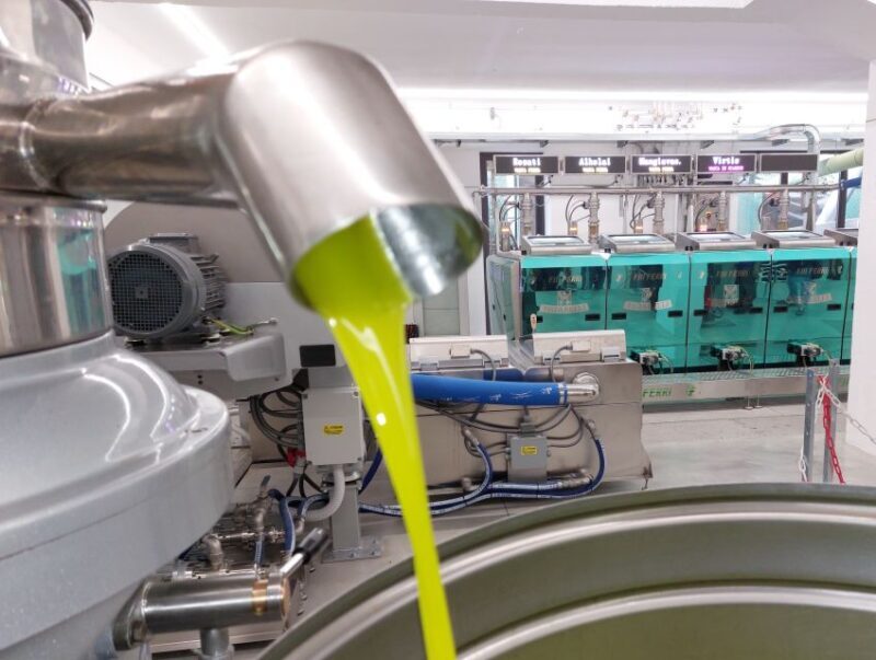 Sarteano: visit to the mill and oil tasting - Authenticity and Authentic Experiences