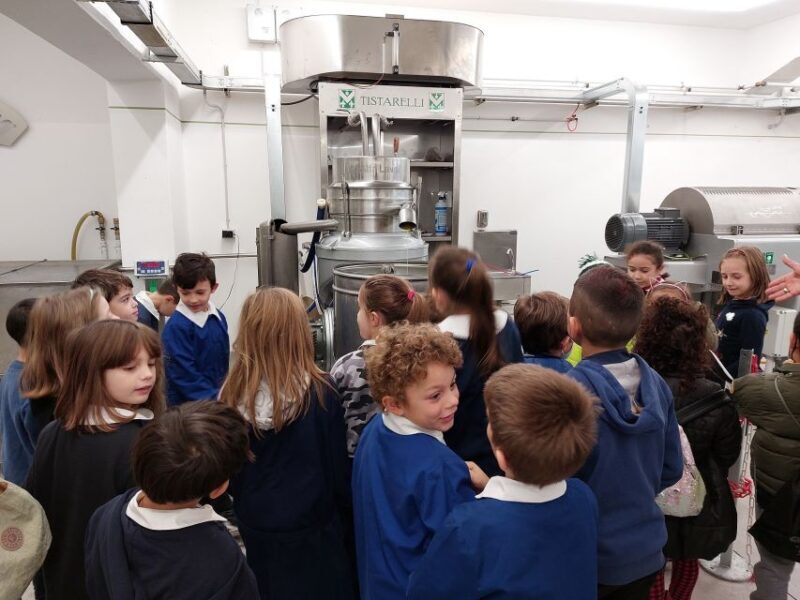 Sarteano: visit to the mill and oil tasting - FAQ