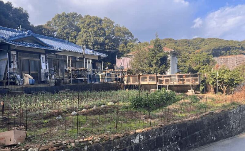 Sasebo: Farmhouse Visit with Goats, Tea, and Lunch - An In-Depth Look at the Farmhouse Experience in Sasebo