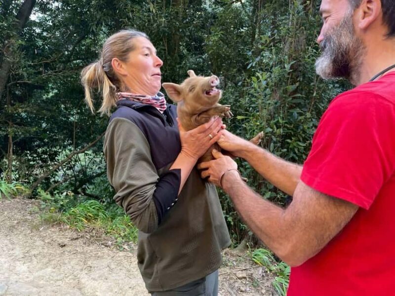 Sasebo: Farmhouse Visit with Goats, Tea, and Lunch - Who Will Love This Experience?