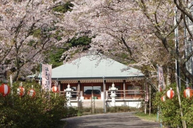 Sasebo: History, Crafts, and Sights Guided Tour with Lunch - Exploring Sasebo: A Day Full of Culture and Charm