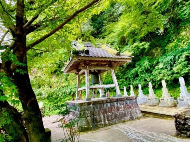 Sasebo: Kimono, Sushi, Tea & Hidden Gems Cultural Experience - Practical Details and Value