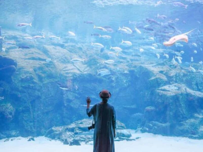 Sasebo: Kujukushima Cruise, Temple, and Sushi Workshop - Who Should Consider This Tour?