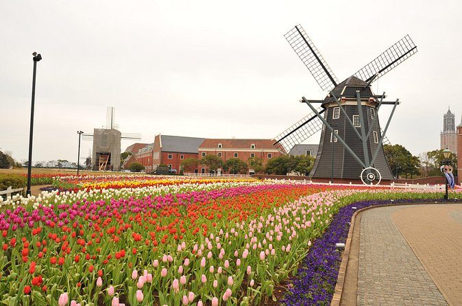 Sasebo Private Customizable Full Day Tour - Final Thoughts