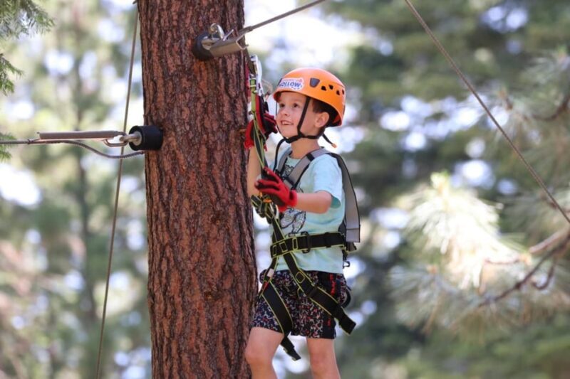 Sasquatch Hollow: Kids' Zipline Adventure - Introduction to Sasquatch Hollow: Kids Zipline Adventure