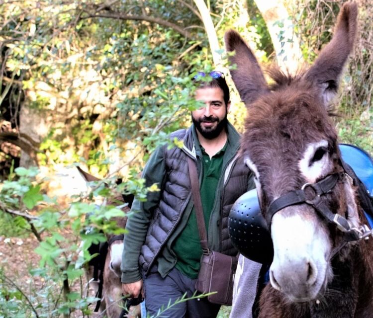 Sassari: hiking with donkeys in Cargeghe and aperitif - FAQ