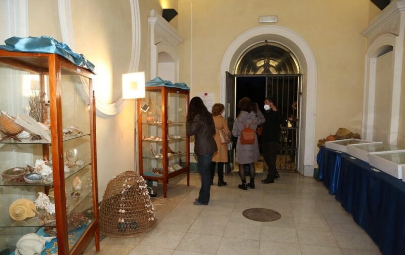 Sassari: visit the Sea and Water Ecomuseum - Introduction