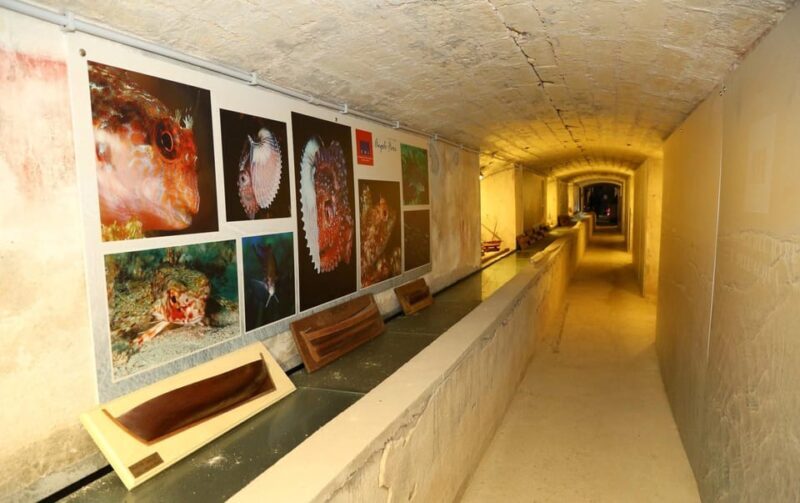 Sassari: visit the Sea and Water Ecomuseum - Why It Offers Good Value
