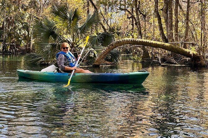 Sassys Silver Springs Kayak and Paddleboard Tours - The Sum Up: Who Will Love This Tour?