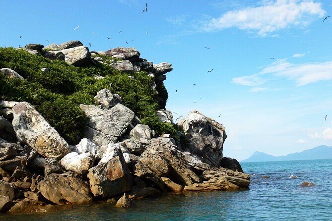 Satang Island Snorkeling & Sea Bird Island Watching from Kuching - A Closer Look at the Satang Island Snorkeling & Sea Bird Island Watching Tour