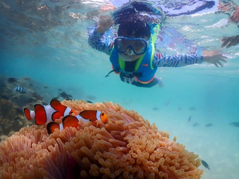 Sattahip: Private Half Day Snorkeling tour - Key Points
