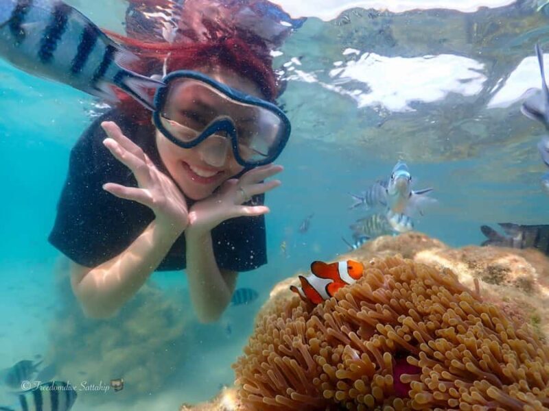 Sattahip: Private Half Day Snorkeling tour - What Makes This Tour Stand Out?