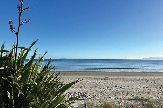 Saturday Sights and Flavours Tour - Scenic Lookouts: Views that Truly Capture Waiheke