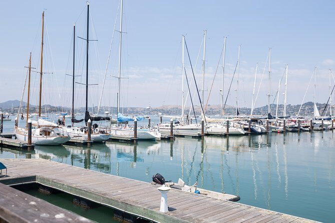 Sausalito Food and Wine Tour - Who Will Love This Tour?