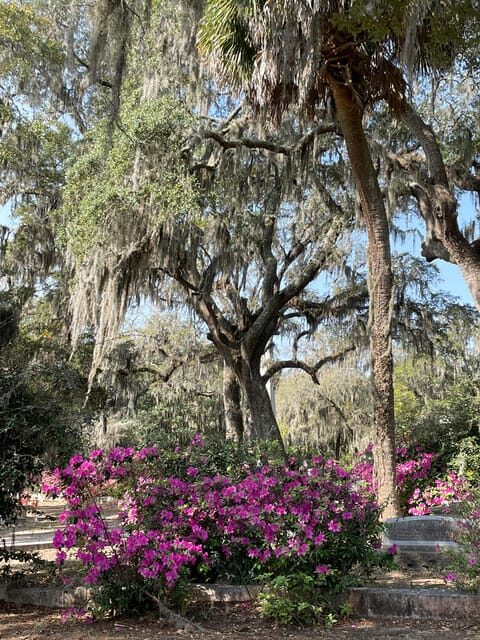 Savannah: Bonaventure Cemetery Golf Cart Guided Tour - Key Points