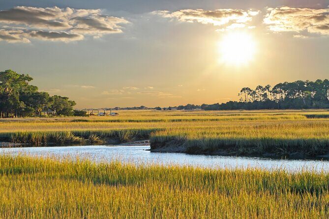 Savannah Coastal Dolphin Eco Tour - Who Will Love This Tour?