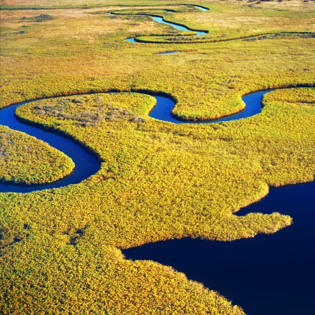 Savannah: Dolphin Spotting and Wildlife Eco Cruise - The Itinerary in Detail