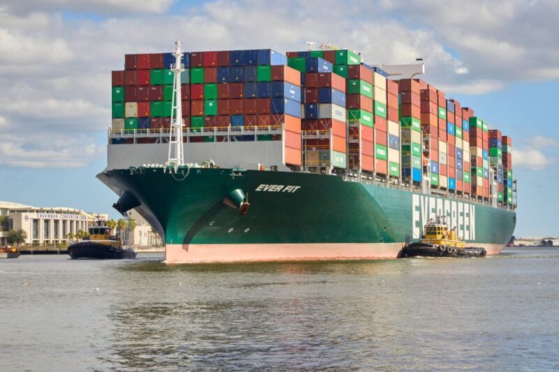 Savannah: Dolphin Spotting and Wildlife Eco Cruise - FAQ
