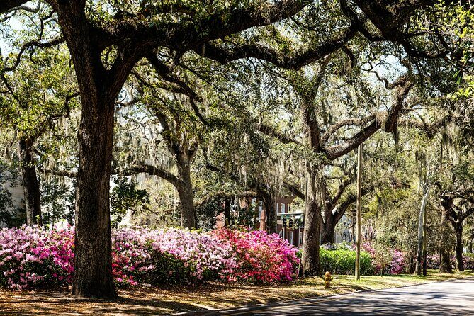 Savannah Historic Downtown Donuts and Sweet Treats Tour - The Sum Up