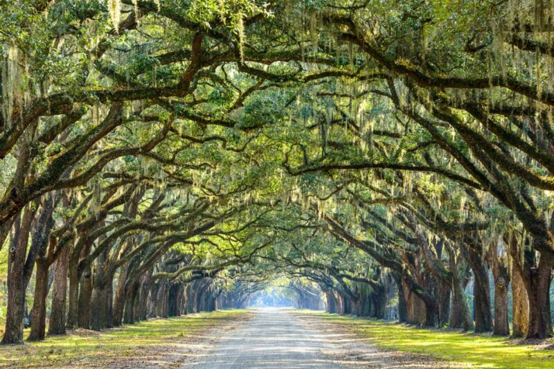 Savannah: History and Culture Walking Tour - FAQ