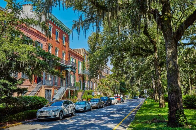 Savannah: History, Culture, & Scenic Views E-Bike Tour - What to Expect from the Tour