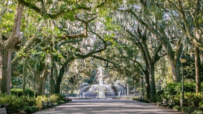 Savannah: History, Culture, & Scenic Views E-Bike Tour - The Value: Is It Worth the Price?