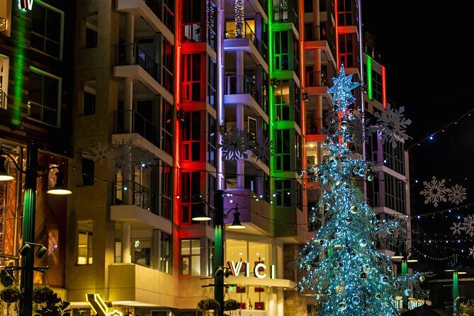Savannah Holiday Sights and Festive Nights Trolley Tour - Final Thoughts: Is the Savannah Holiday Sights and Festive Nights Trolley Tour Worth It?
