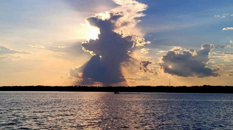 Savannah River Marsh: Your unforgettable Cruise Adventure! - An Authentic Savannah Waterway Experience