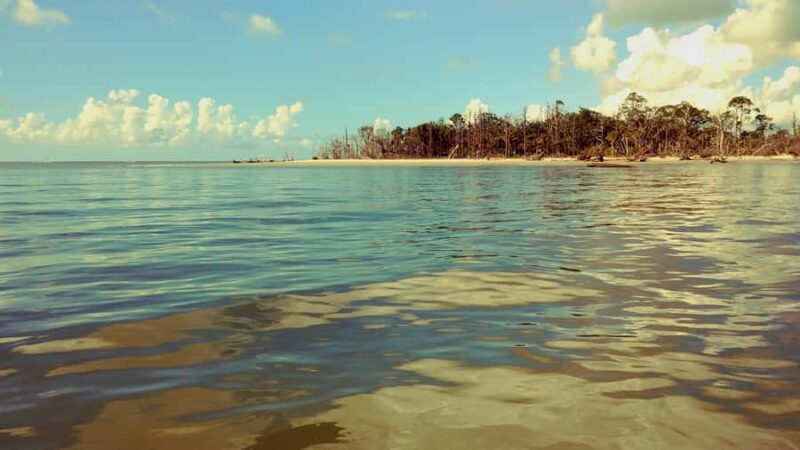 Savannah River Marsh: Your unforgettable Cruise Adventure! - Why This Tour Provides Great Value