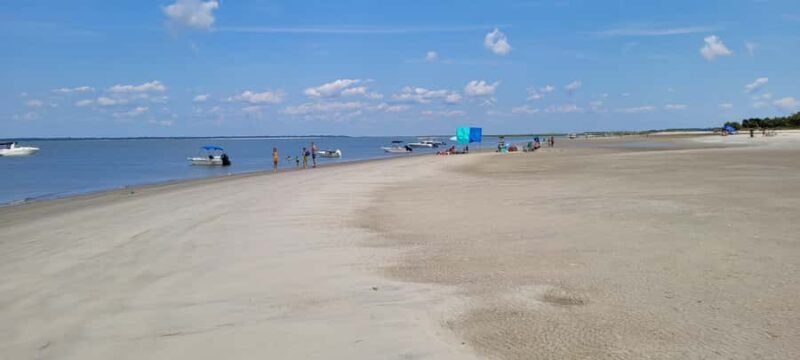 Savannah River Marsh: Your unforgettable Cruise Adventure! - Closing Summary