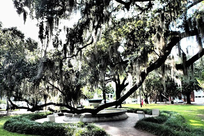 Savannah Scavenger Hunt Adventure - Why This Tour Is a Good Fit