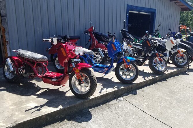 Savannah Scooter and Trike Rental with Helmet - The Sum Up