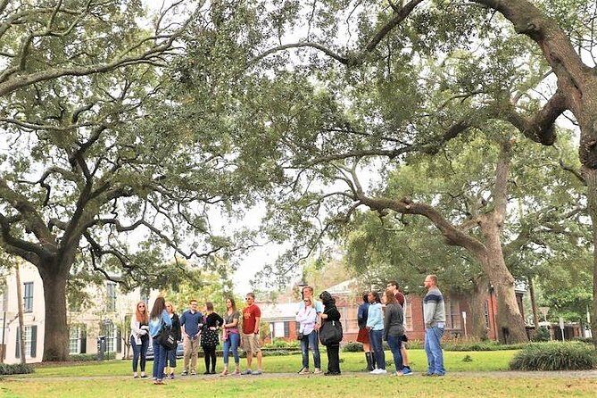 Savannah Southern Fried Expectations Walking Food Tour - Who Will Love This Tour?